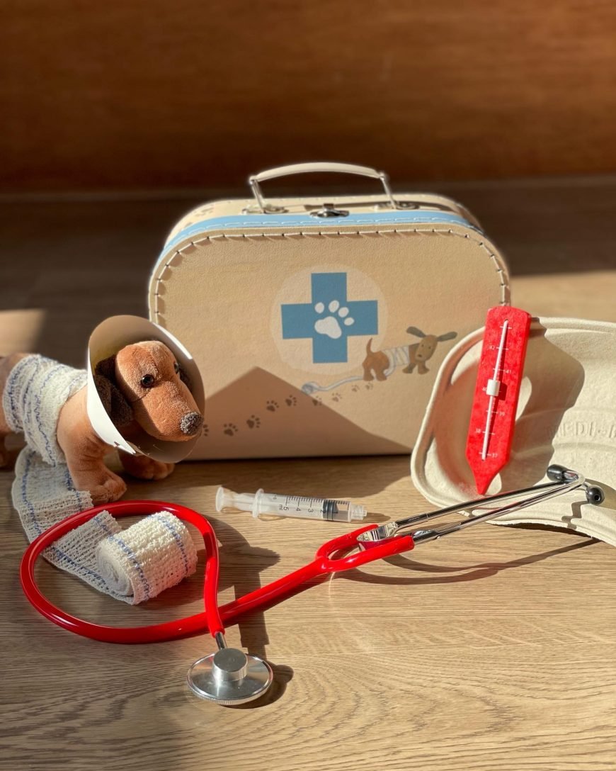 Veterinary Case - Lola's Rooms